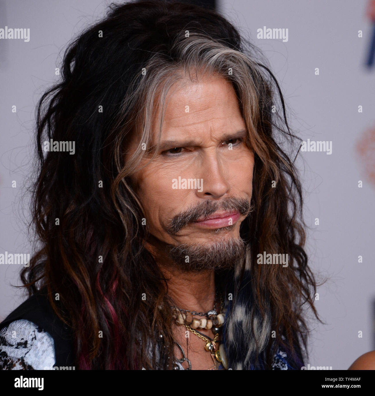Singer and songwriter Steve Tyler attends the 21st annual Race To Erase ...