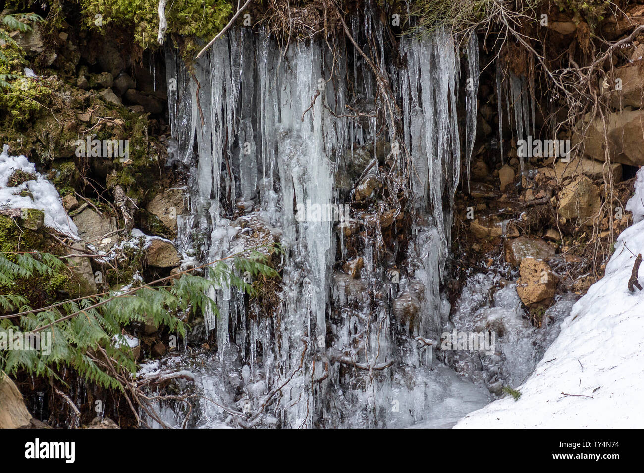 Beautiful icicles form as the water up in the mountains freezes ...