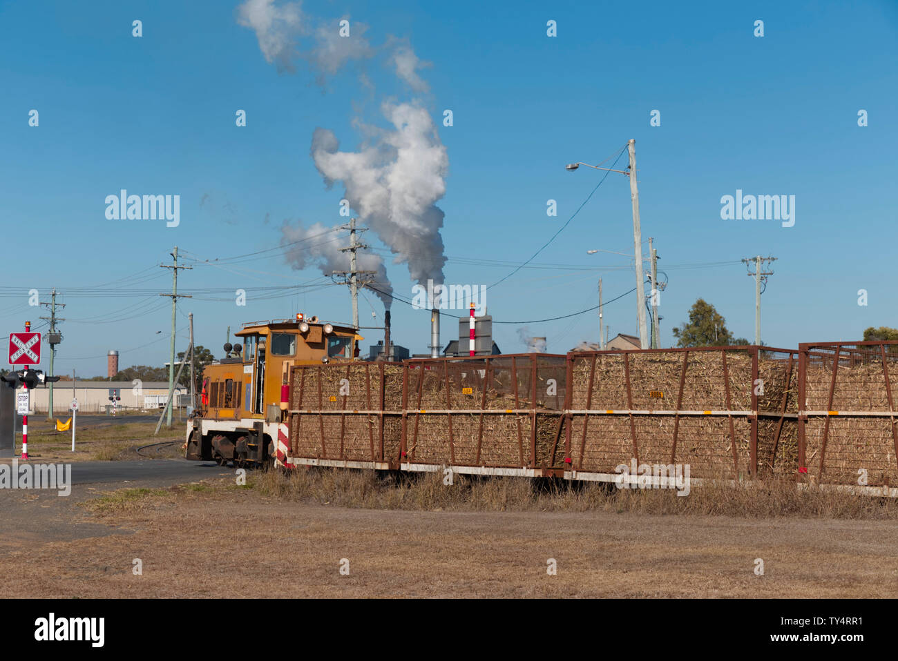 Sugarcane train hi-res stock photography and images - Alamy