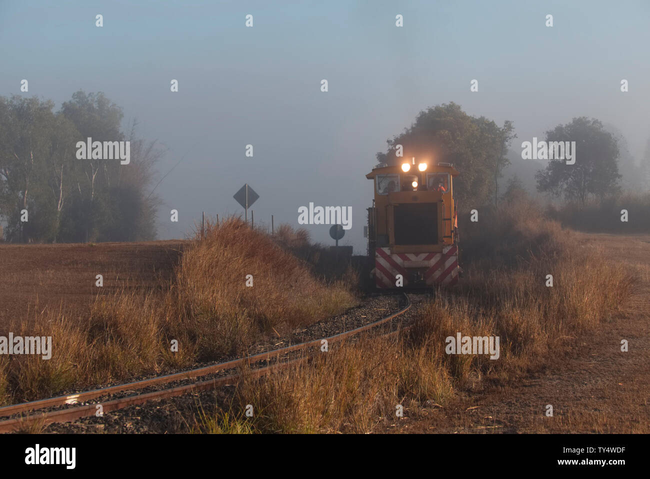Sugar cane train hi-res stock photography and images - Alamy