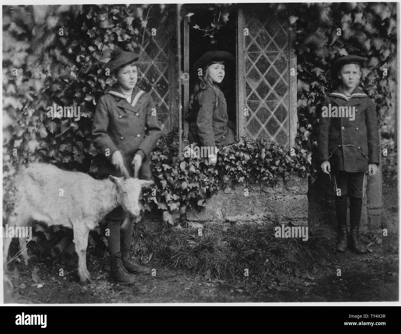 Franklin D. Roosevelt, Helen, and Taddy Roosevelt(his half brother's ...