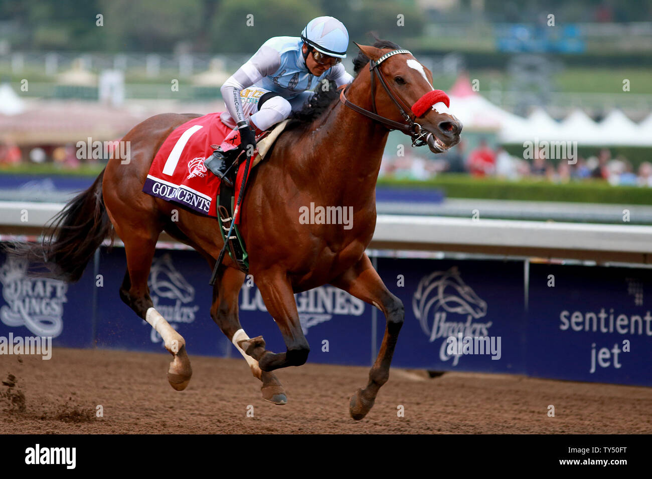 Jockey Rafael Bejarano rides Goldencents to victory in the Breeders Cup ...
