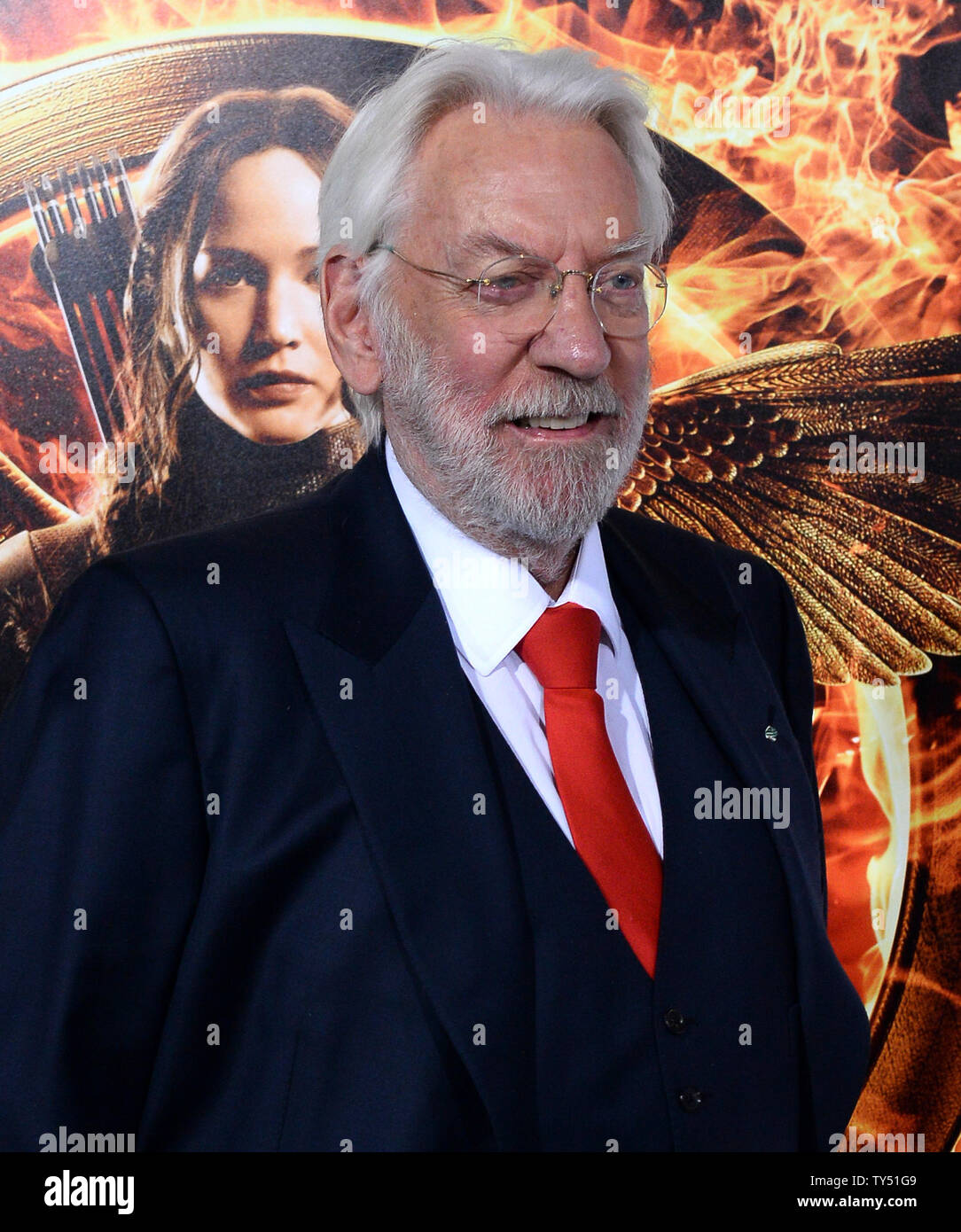 Beetee Catching Fire Portrait