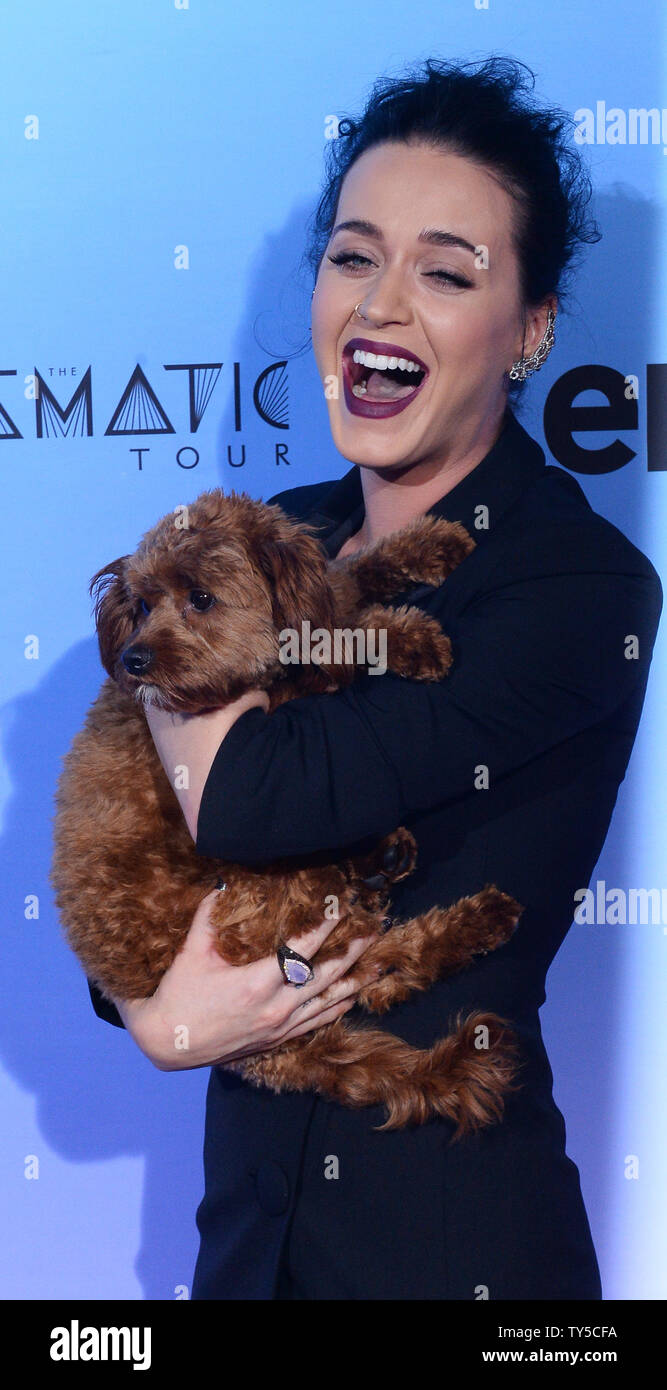 Singer Katy Perry holds her dog Butter as she attends the world ...