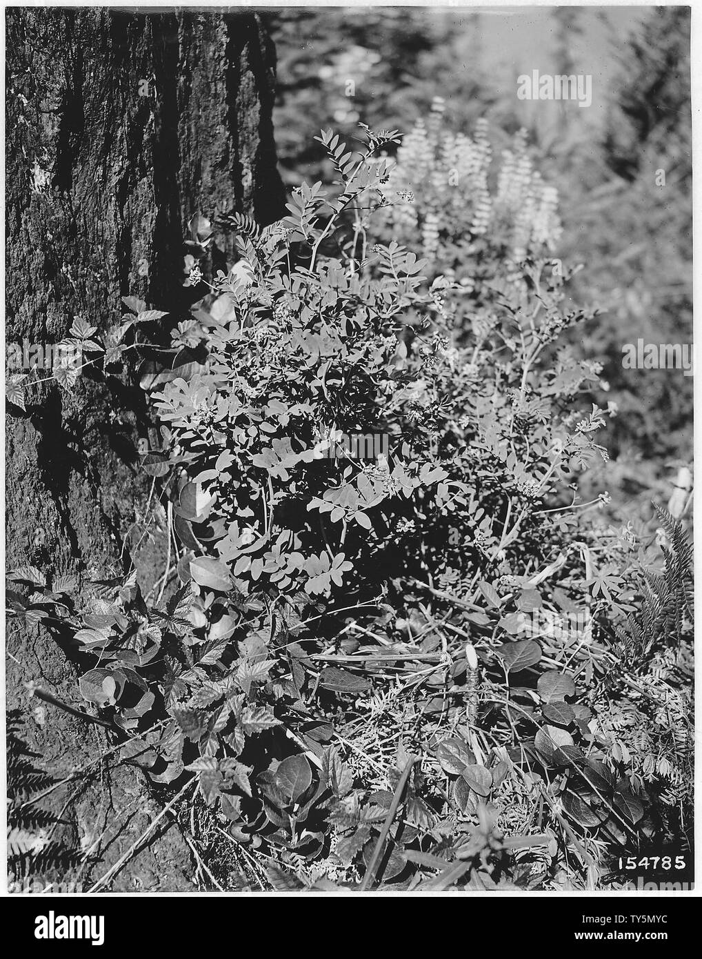 Logged on Black and White Stock Photos & Images - Alamy