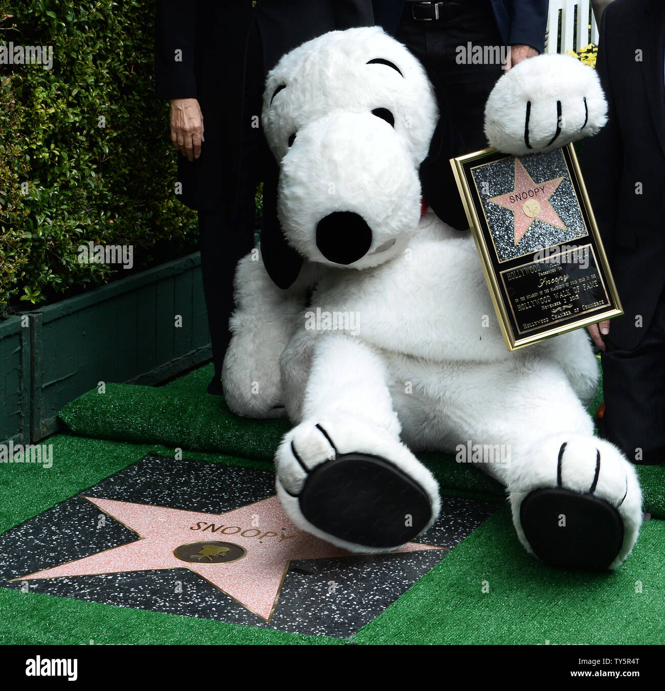 "Peanuts" character Snoopy poses beside his star which is next to the ...