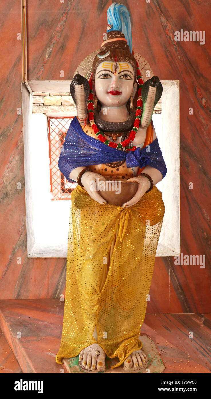 Hind deity: lord Shiva, Rama, Krishna, Durga, nine deity Stock Photo ...