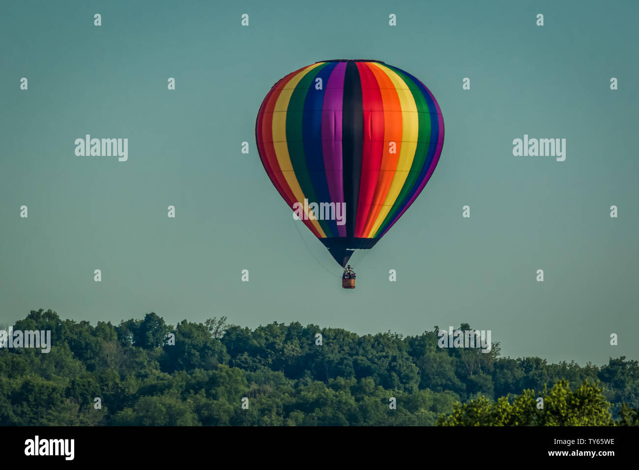 Rainbow colored hot-air balloon floats over the hiltop forest in early ...