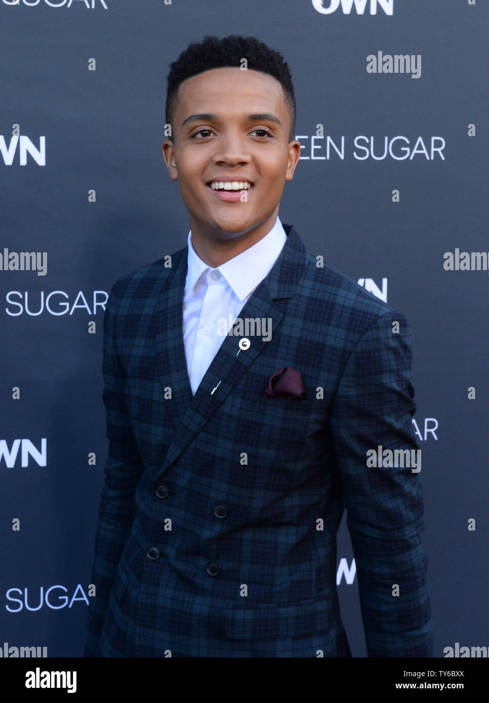 Cast member Nicholas L. Ashe attends the premiere of OWN's television ...