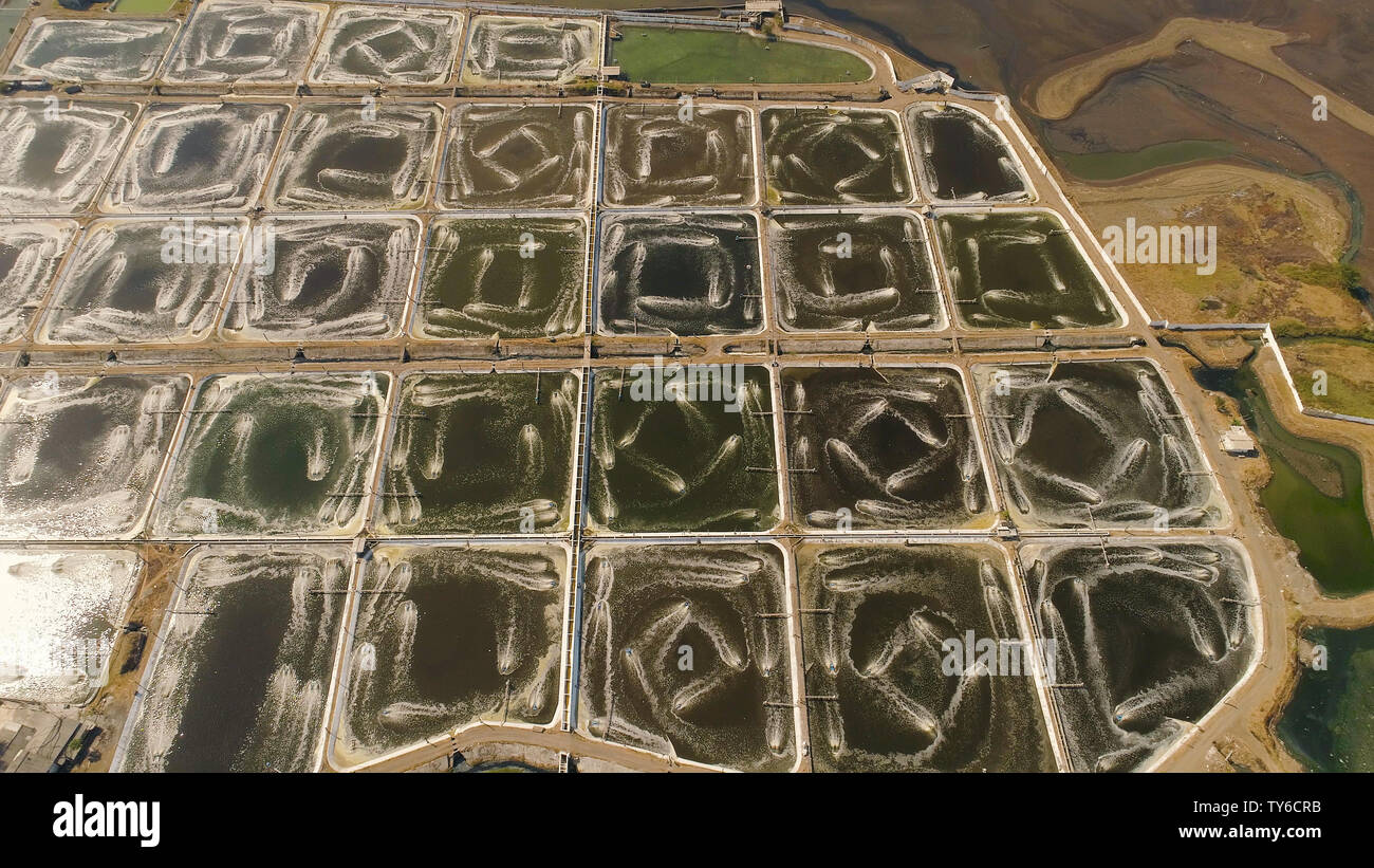 shrimp farm, prawn farming with with aerator pump oxygenation water ...