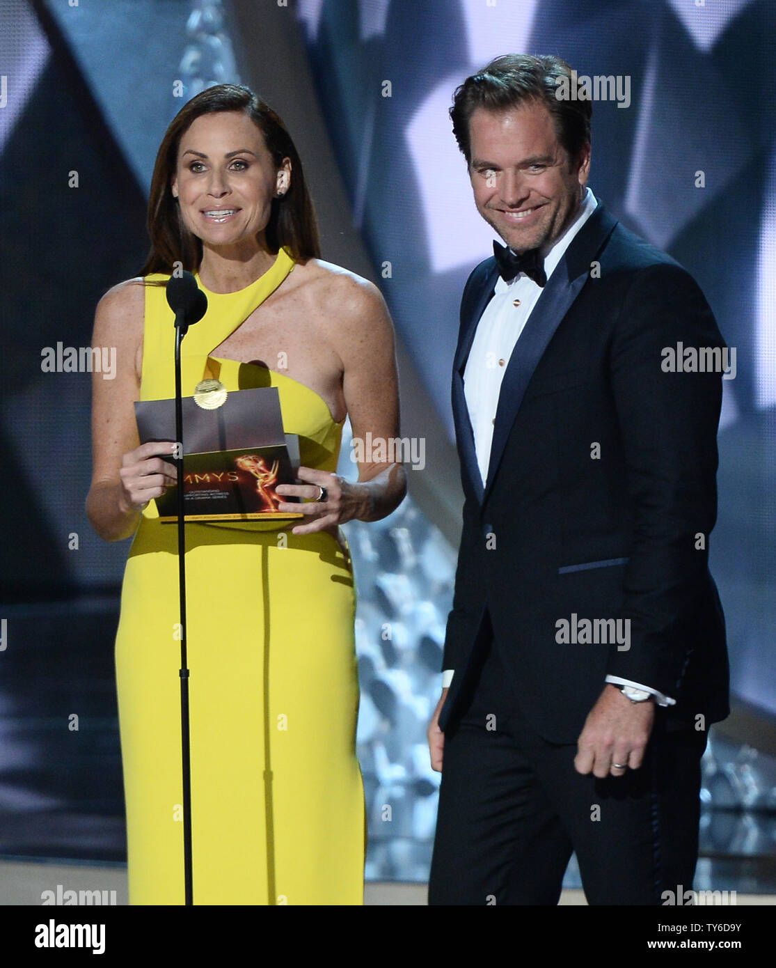 (L-R) Minnie Driver and Michael Weatherly speak onstage during the 68th ...