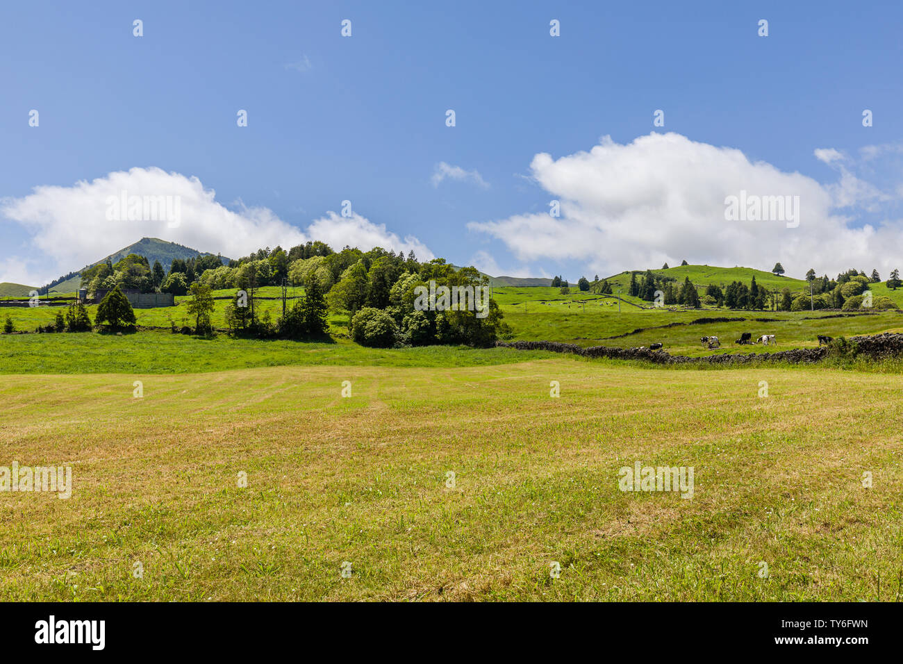 Landscape over Capelas town on Sao Miguel island, Azores archipelago ...
