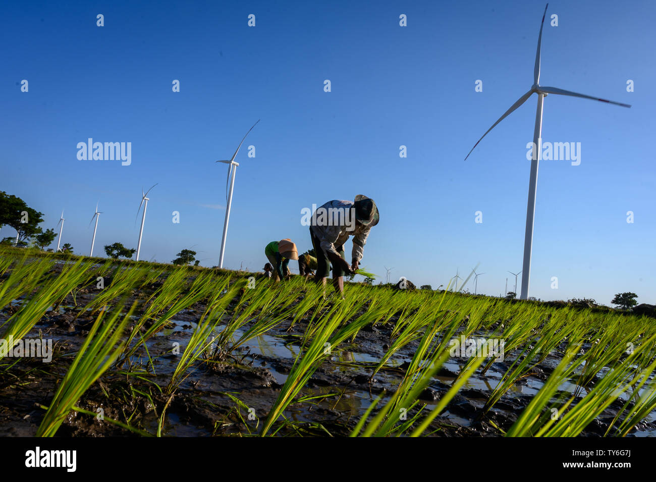 Jeneponto, Indonesia. 23rd June, 2019. Residents are seen farming next ...