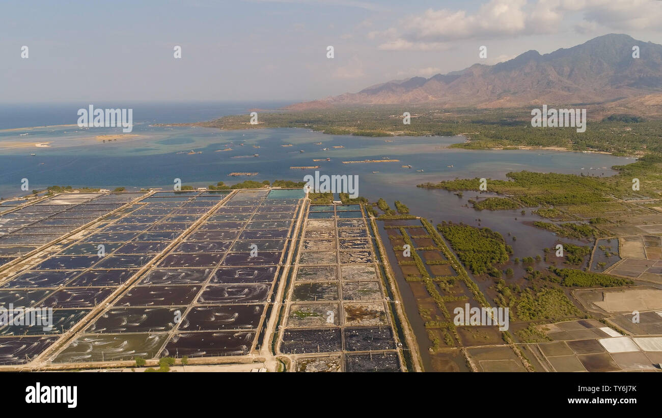 Shrimp ponds indonesia hi-res stock photography and images - Alamy