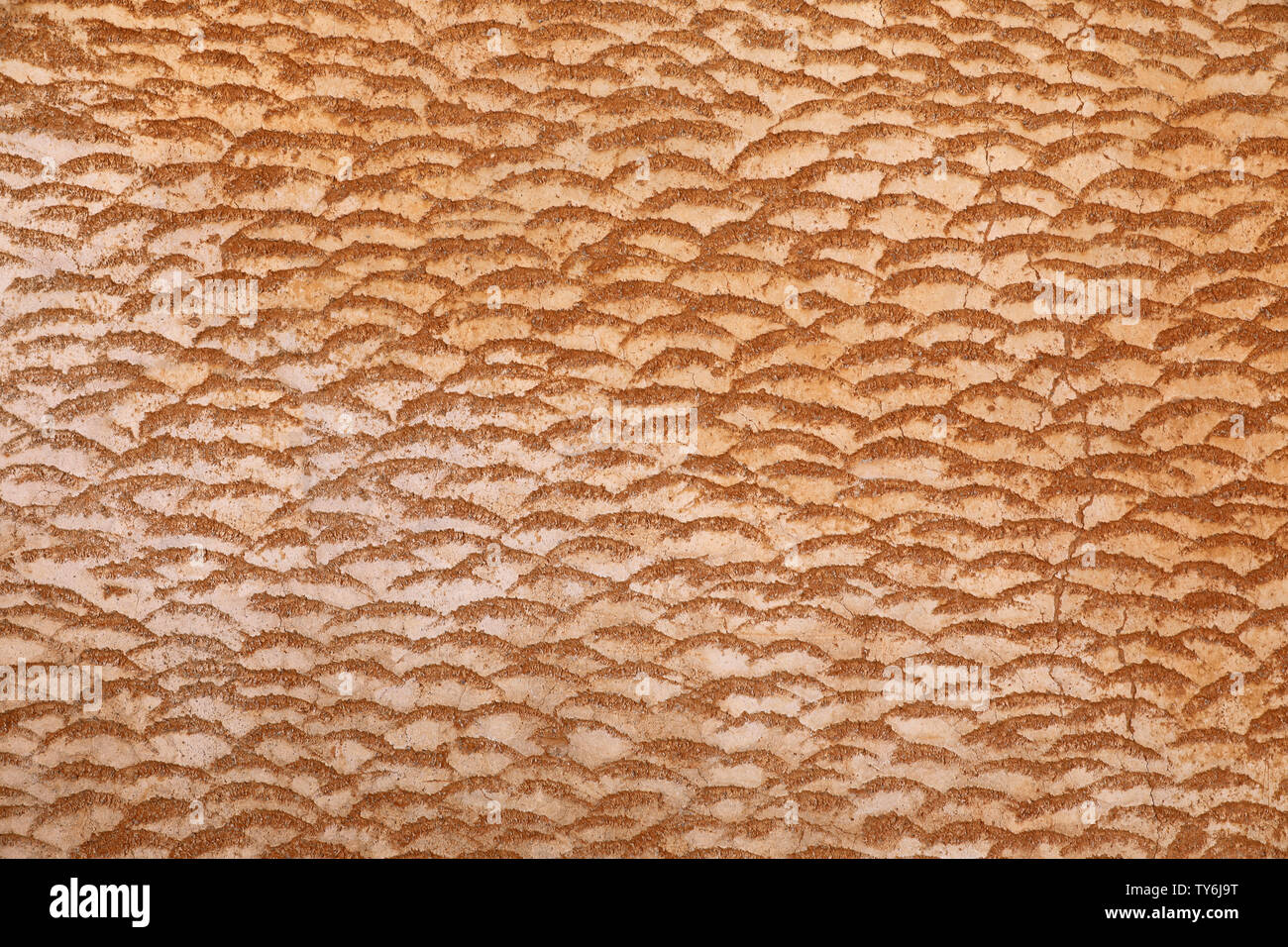 Fish bone architecture hi-res stock photography and images - Alamy
