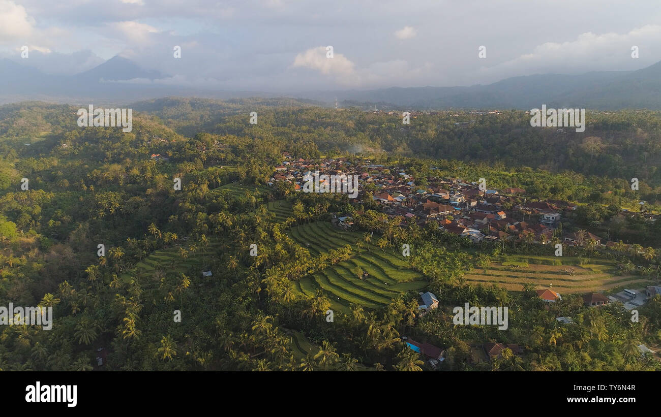 village among rice fields and terraces in Asia. aerial view farmland ...