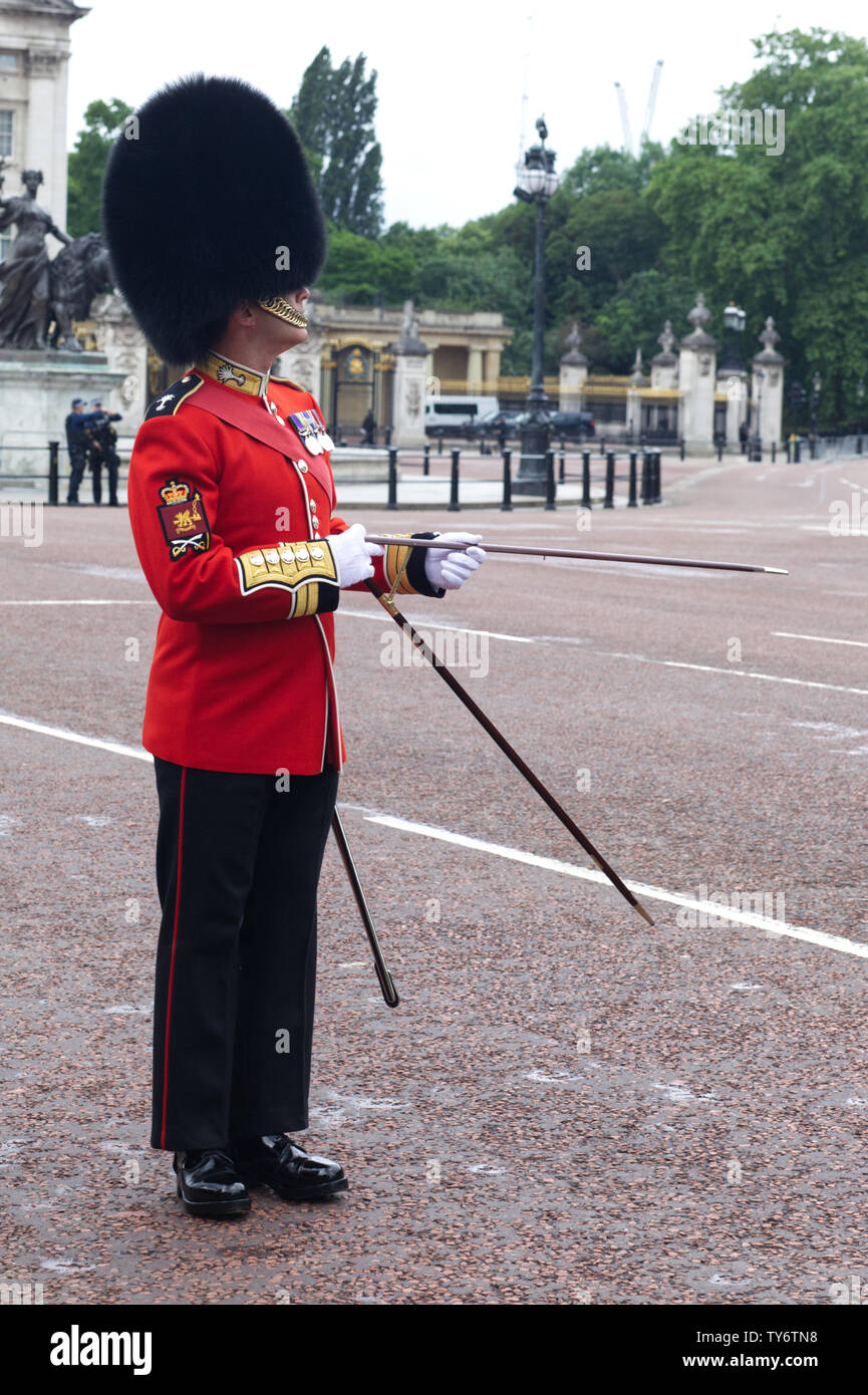 Warrant officer hi-res stock photography and images - Alamy