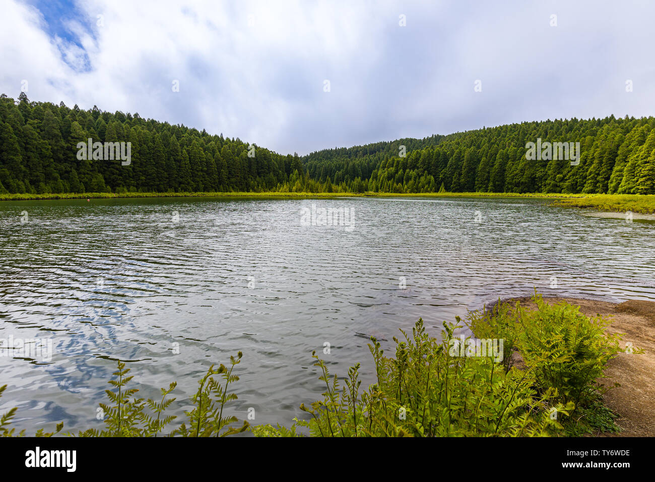 Lake Canary's Lagoon on Sao Miguel Island, Azores archipelago, Portugal ...