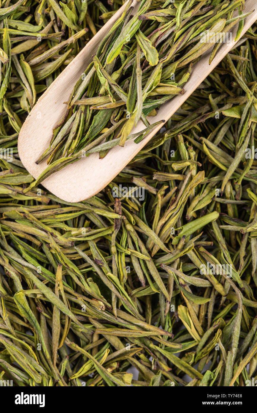 Garden angelica tea hi-res stock photography and images - Alamy