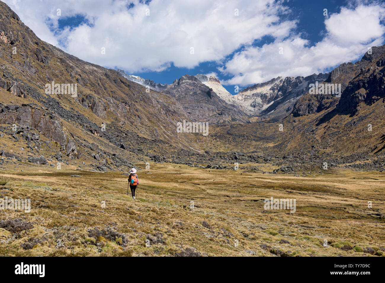 Trekking across the Cordillera Real mountain range, Bolivia Stock Photo ...