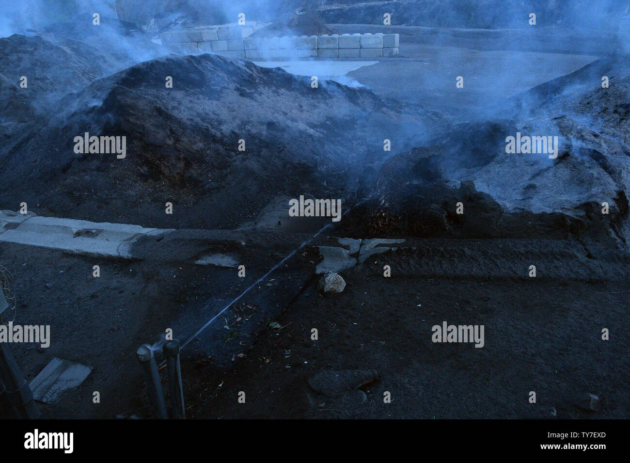 Piles of manure smolder at the Oak Tree worm farm in Tujungar ...