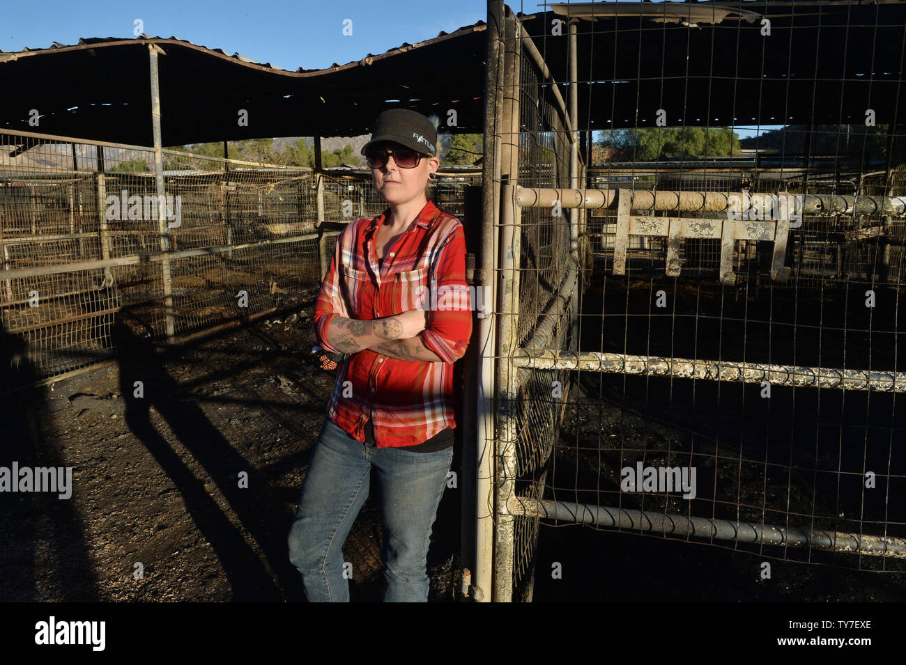 Horse owner Mellissa Kaminsky takes a break from cleaning up her horses ...