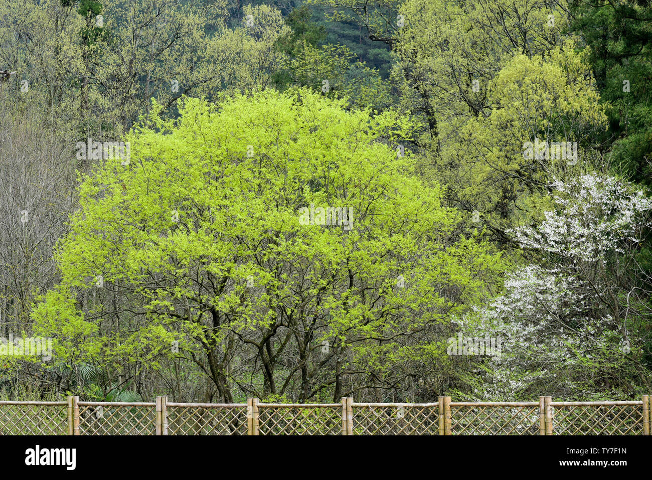 Spring in the sky Stock Photo - Alamy