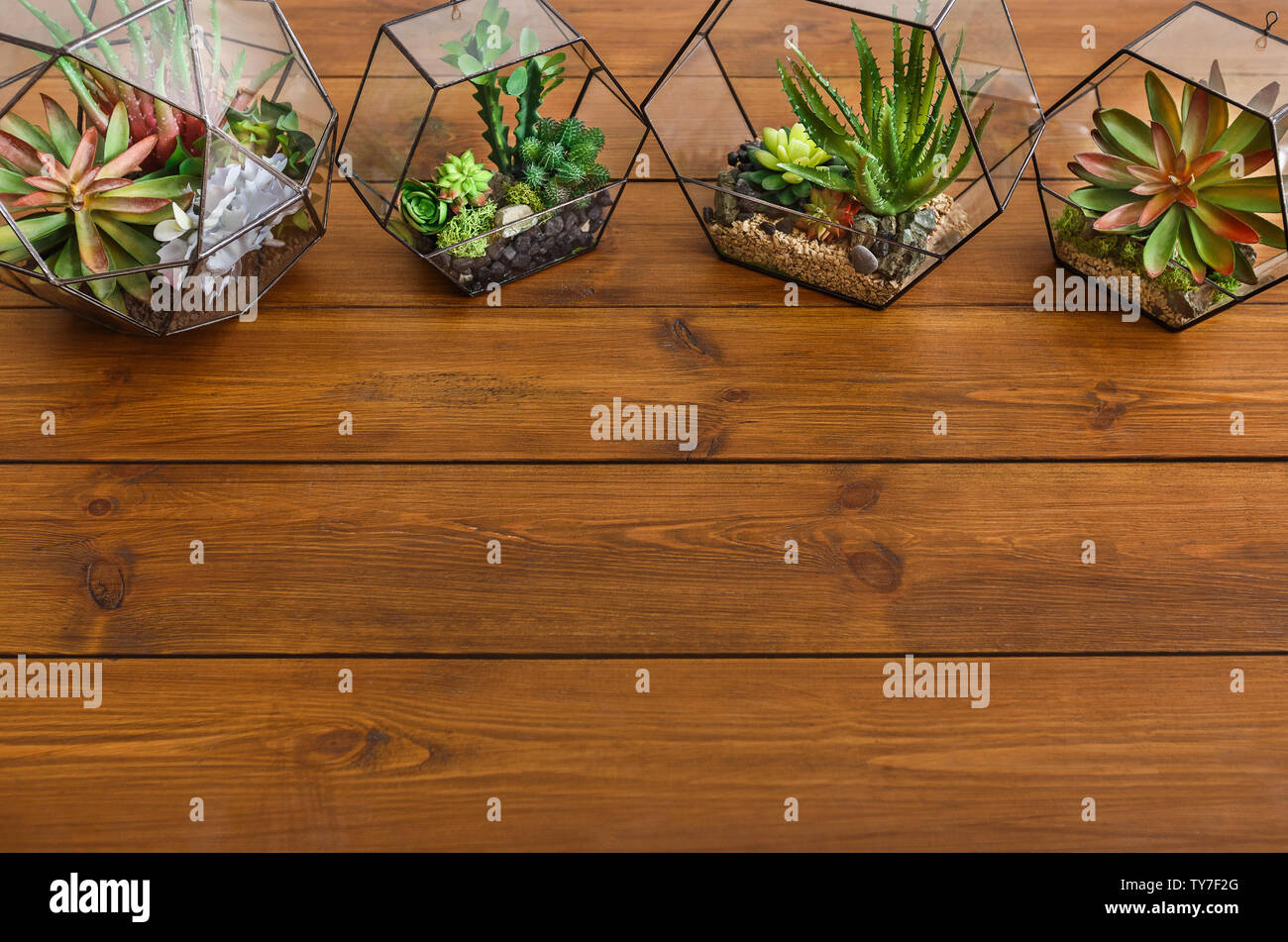 Glass geometric florarium vases in row, copy space Stock Photo - Alamy