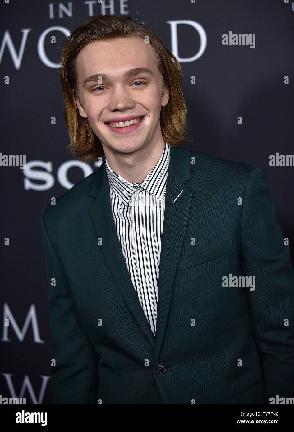 Charlie Plummer attends the world premiere of 'All The Money in the ...