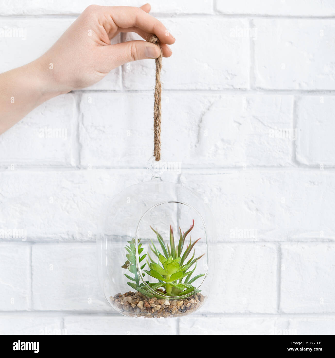 Mini glass florarium vase in woman's hand Stock Photo - Alamy