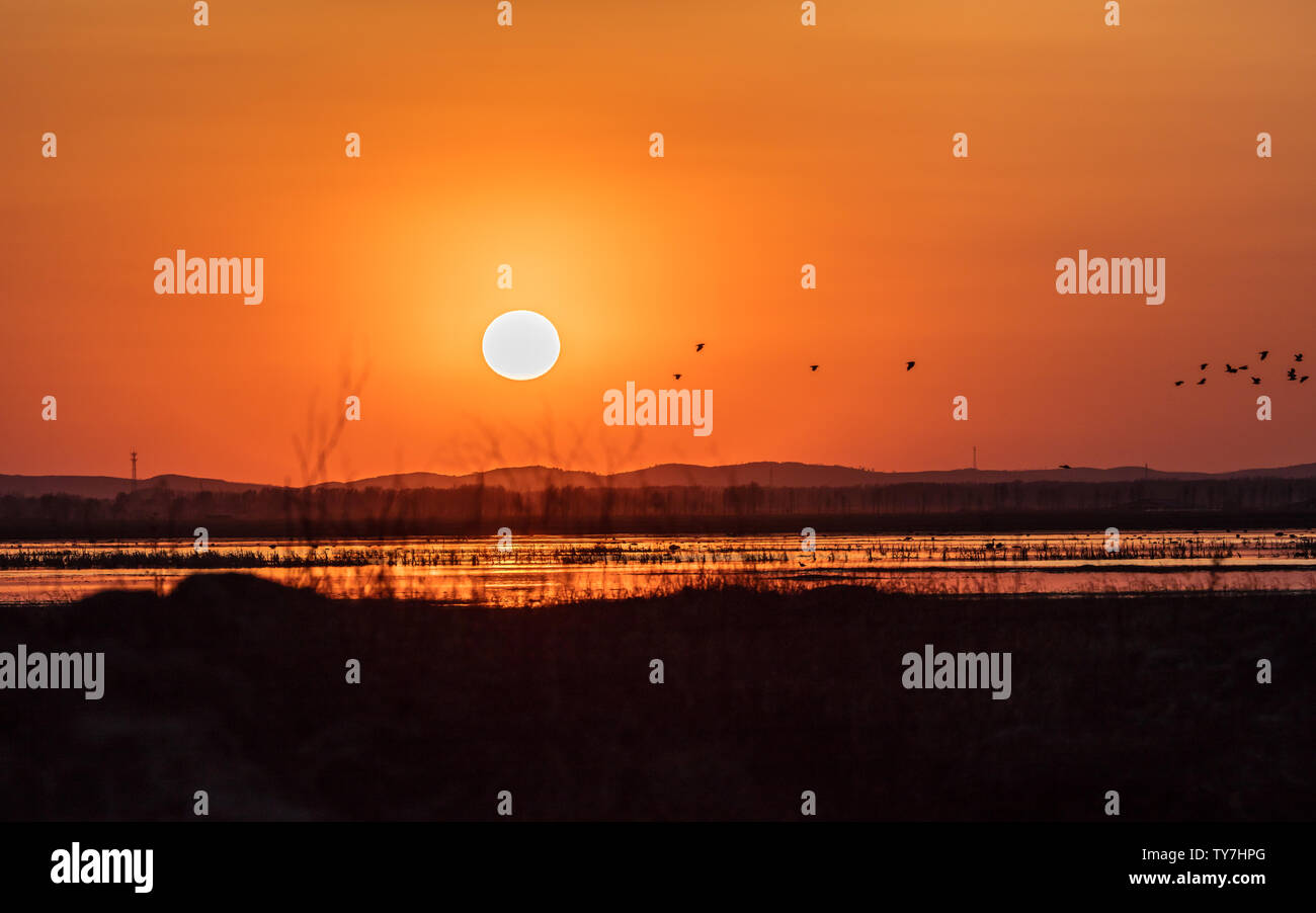 Rivers, wetlands, sunset, sunset Stock Photo - Alamy