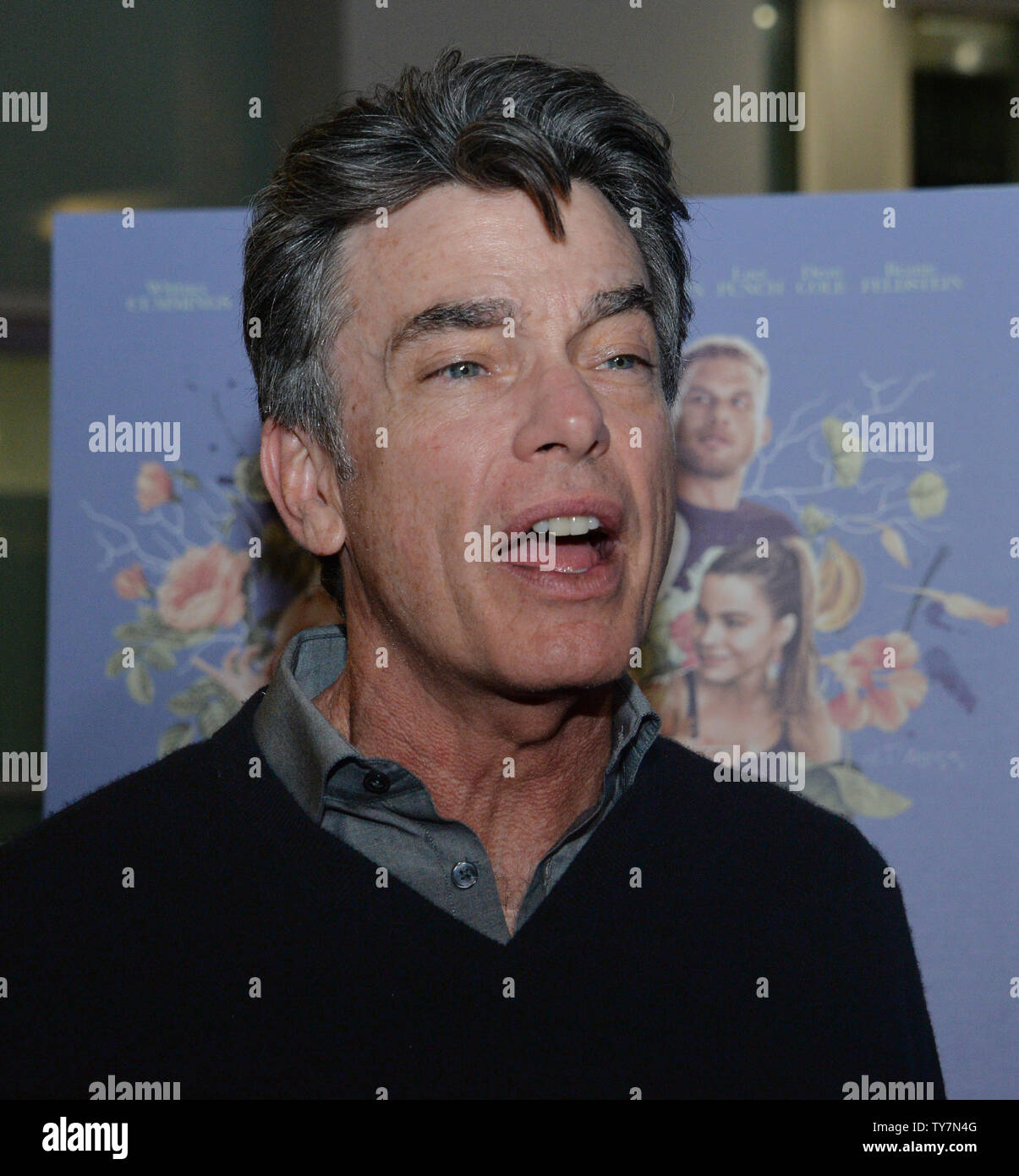 Actor Peter Gallagher attends the premiere of the motion picture comedy ...