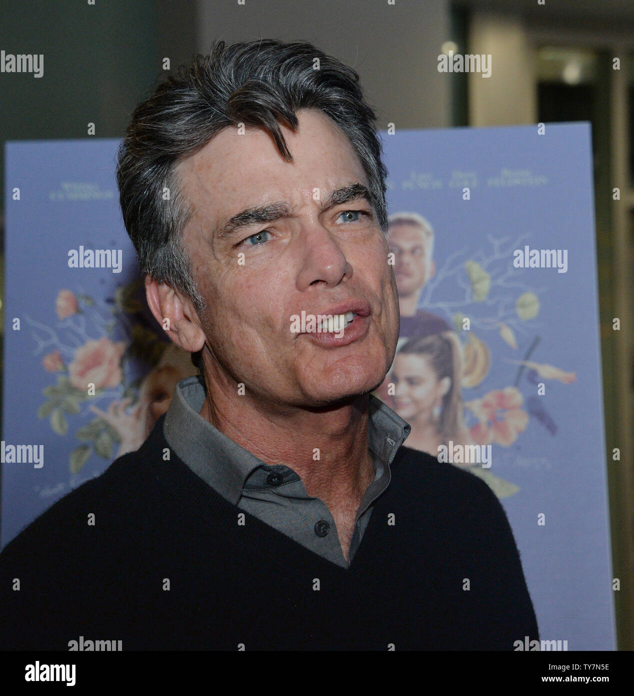 Actor Peter Gallagher attends the premiere of the motion picture comedy ...