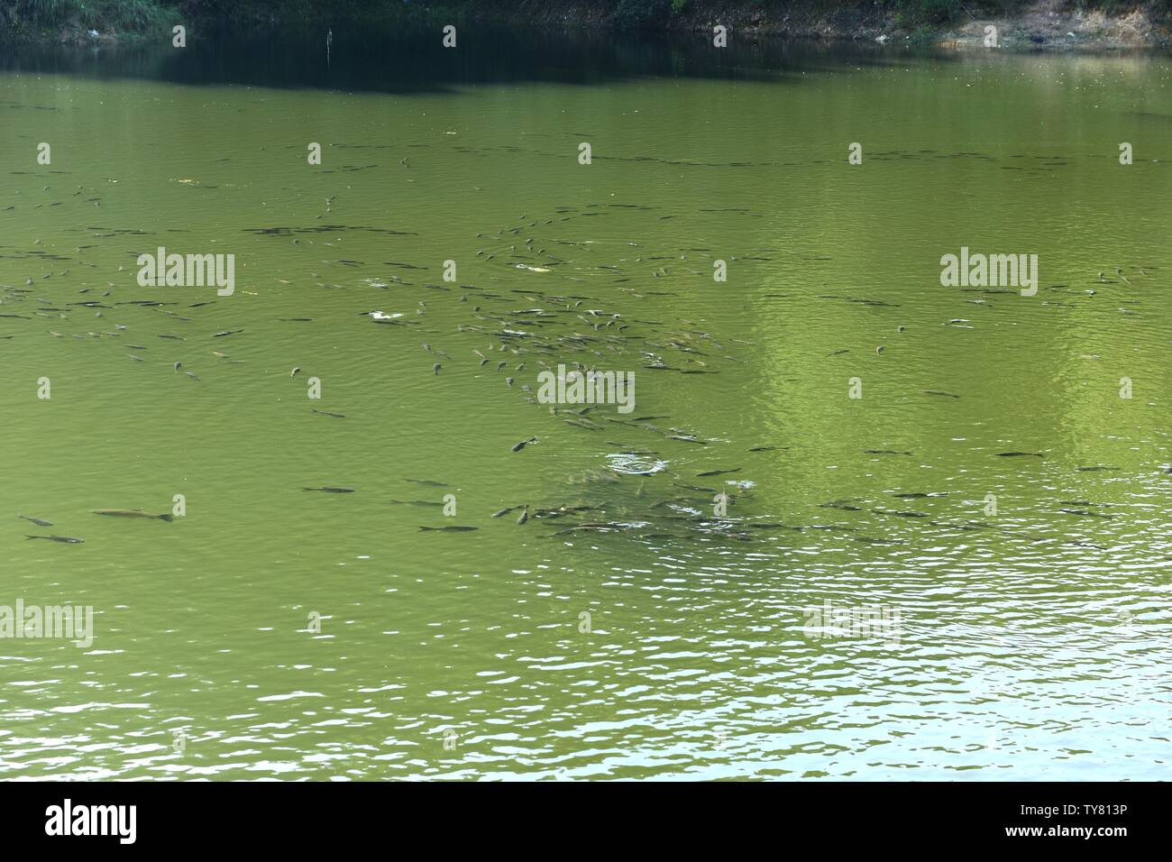 Dam mural painting hi-res stock photography and images - Alamy