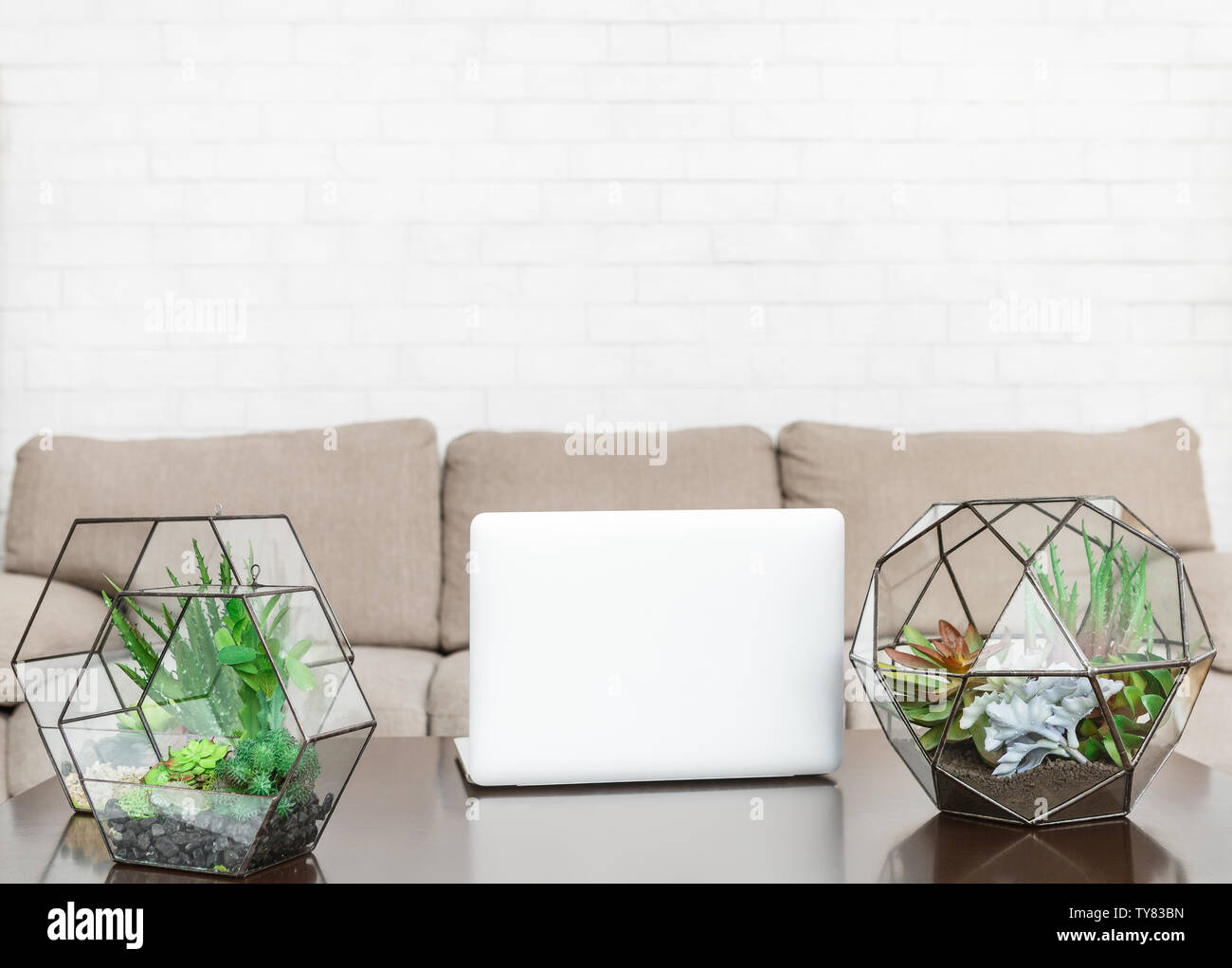 Vases of plants hi-res stock photography and images - Alamy