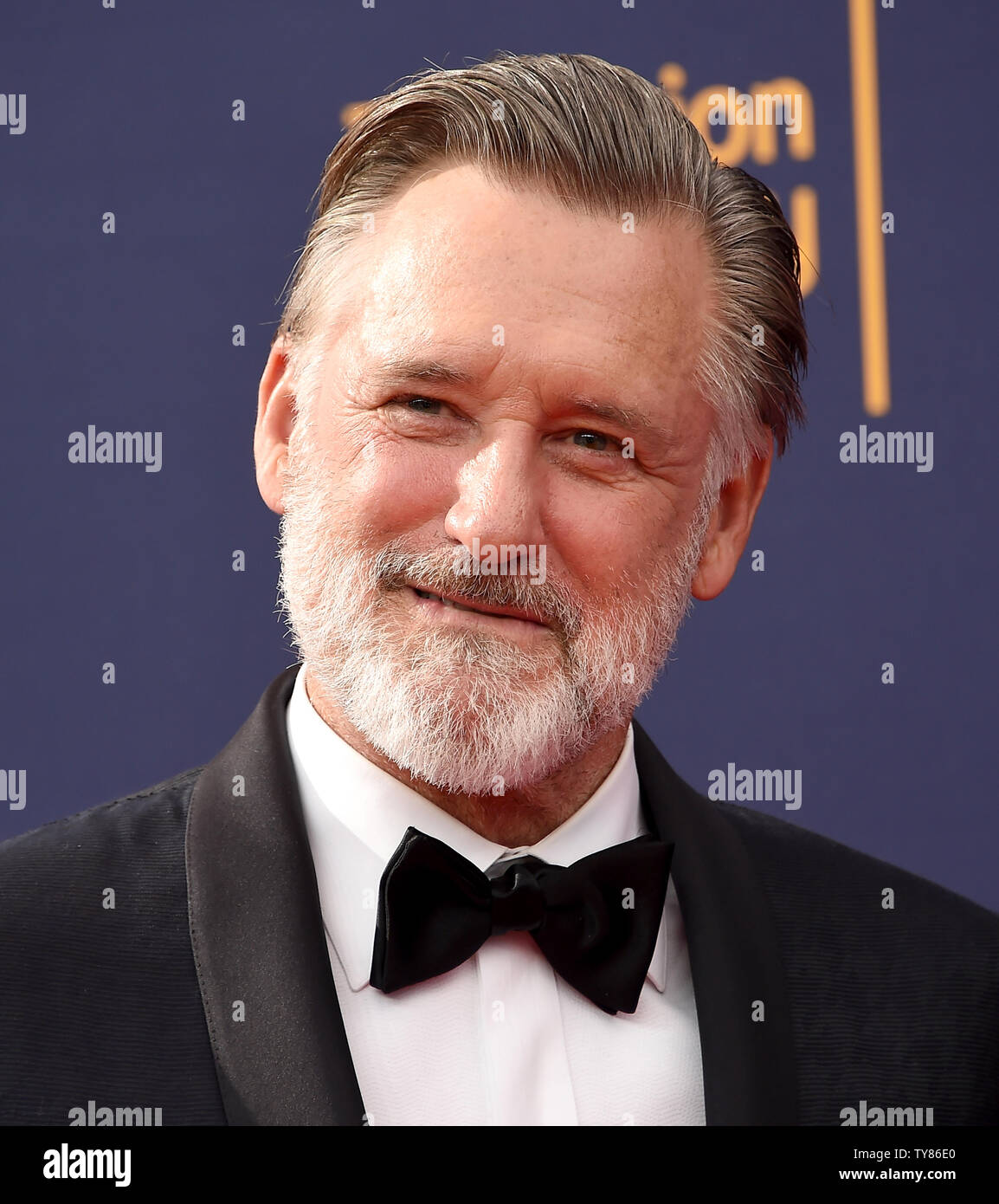Actor Bill Pullman attends the Creative Arts Emmy Awards at the ...