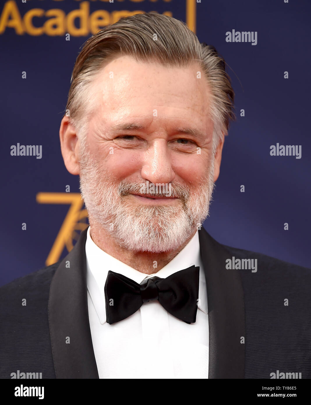 Actor Bill Pullman attends the Creative Arts Emmy Awards at the ...