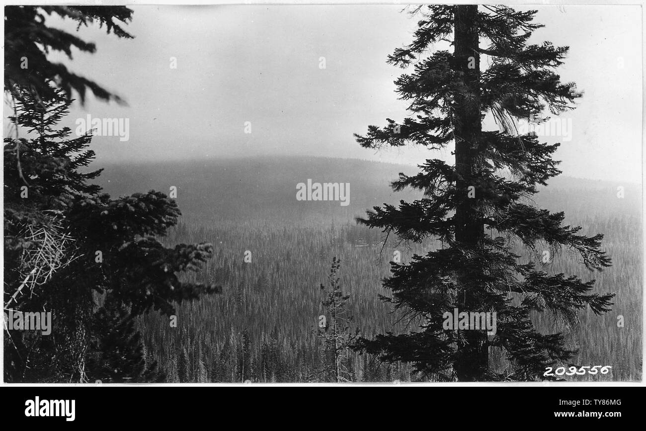 Looks from base of Rugged Crest hill toward TImber Crater. Mountain top ...