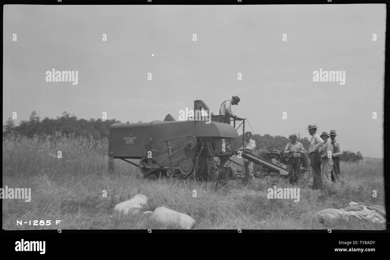 Mahaffey hi-res stock photography and images - Alamy