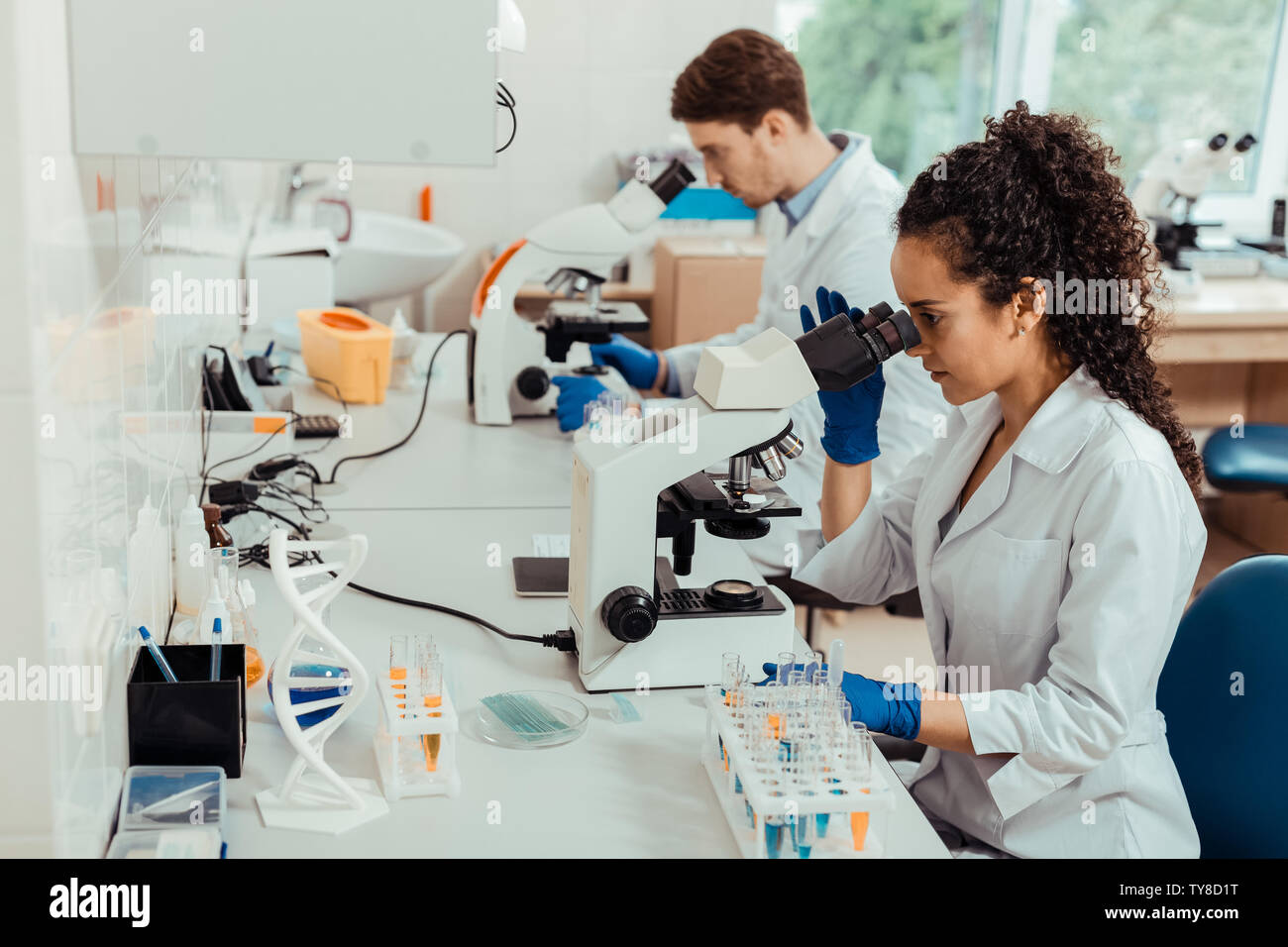 Intelligent professional biologists sitting at the microscopes Stock ...