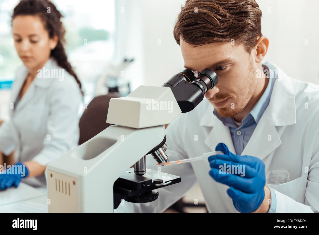 Examination under a microscope hi-res stock photography and images - Alamy