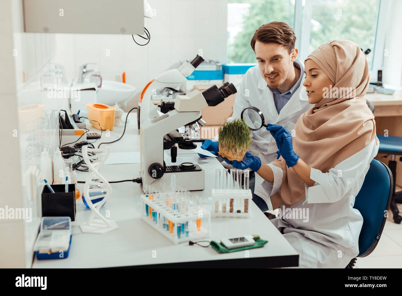 Positive smart scientists working together in the lab Stock Photo - Alamy
