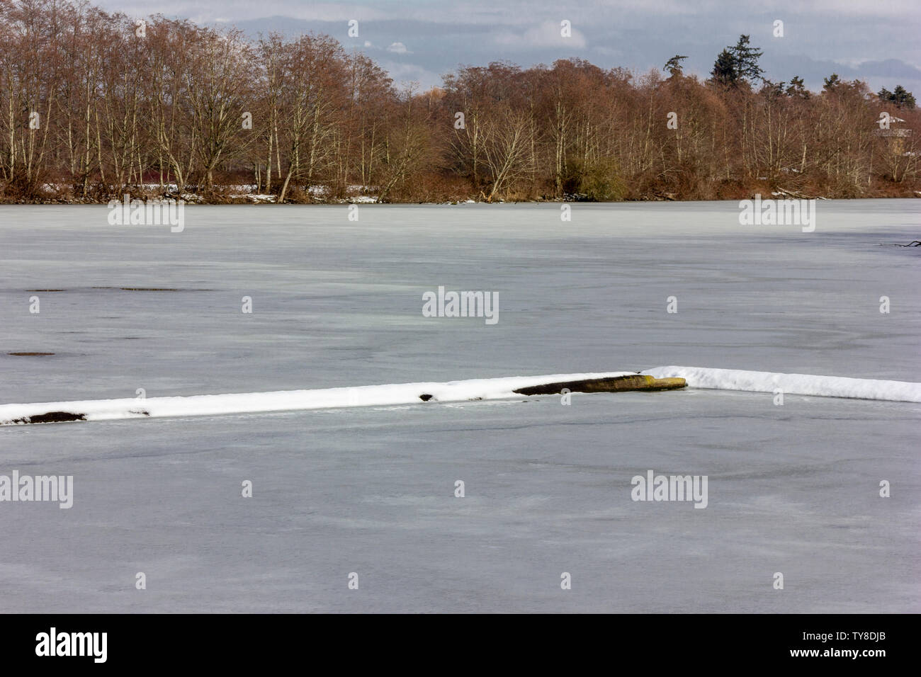 beautiful winter scene with frozen lake, covered with shattering ice ...