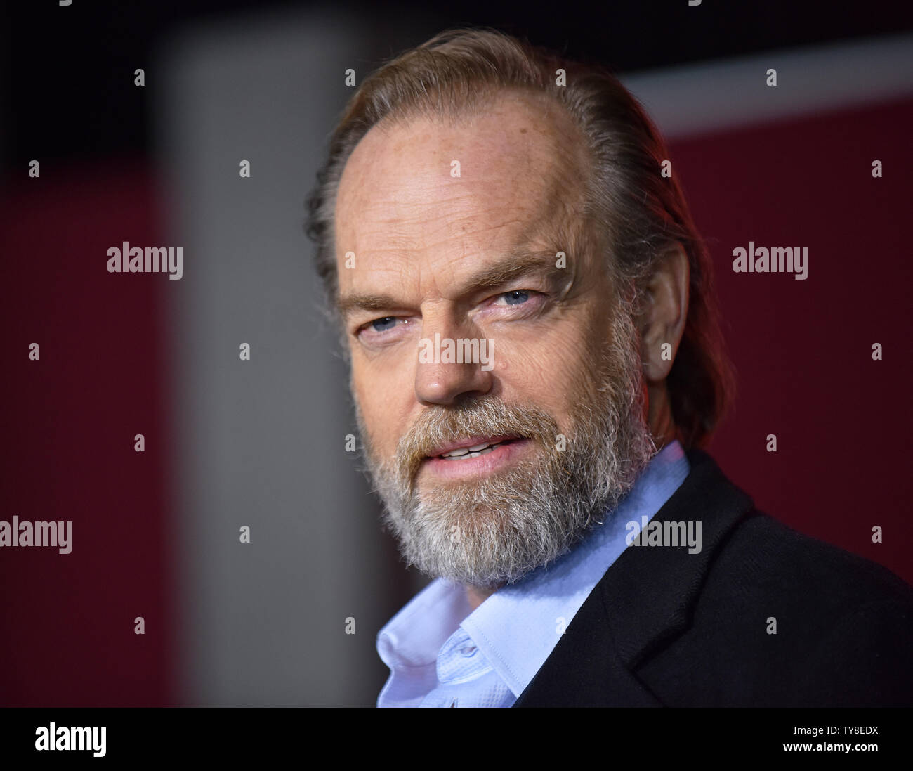 Hugo Stone's Instagram, Twitter & Facebook on IDCrawl