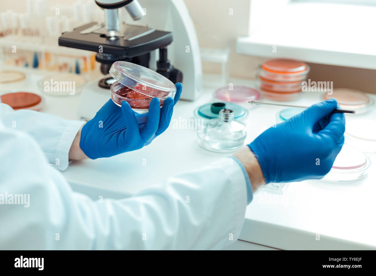 Selective focus of a petri dish being open Stock Photo - Alamy
