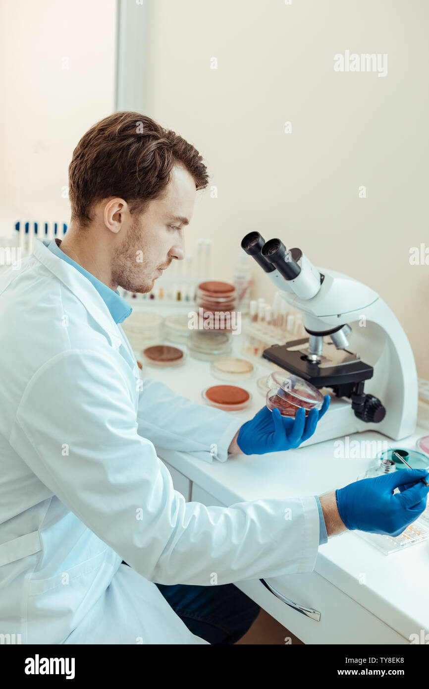 Young serious lab worker hi-res stock photography and images - Alamy