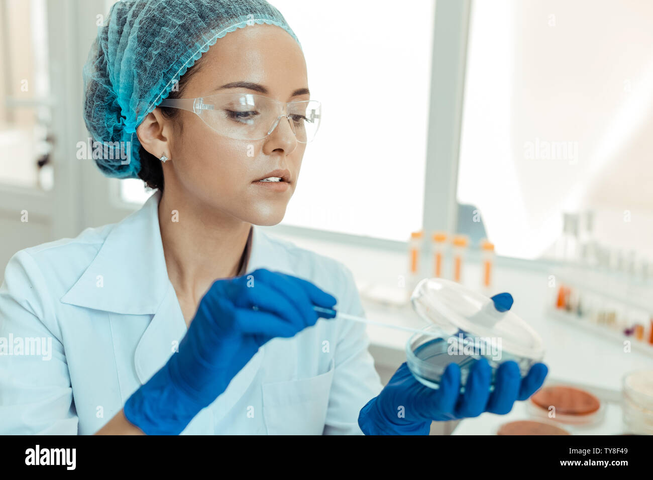 Intelligent thoughtful nice woman studying bacteria development Stock ...