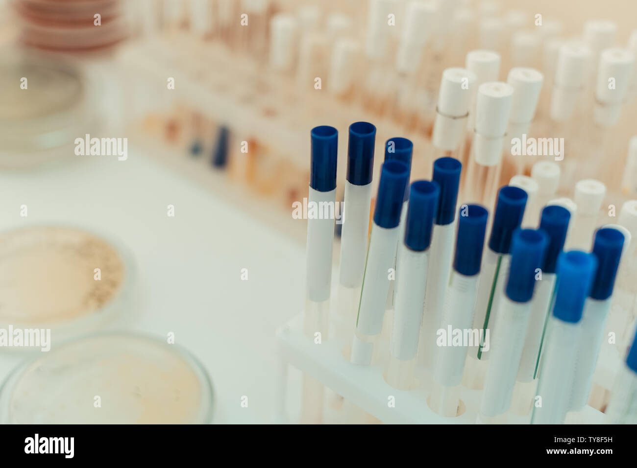 Top view of different white test tubes Stock Photo - Alamy
