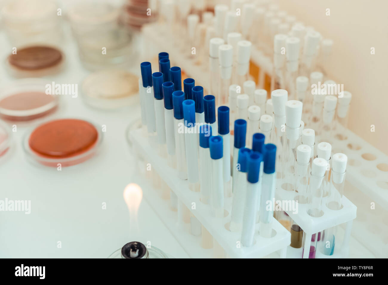 Top view of closed test tubes in the rack Stock Photo - Alamy