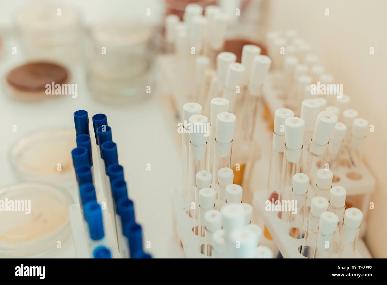 Top view of test tubes standing in the rack Stock Photo - Alamy
